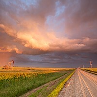 American Association of Professional Landmen: Field Landman